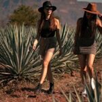VIP Tequila Night Tour with Dinner and Tasting - What Travelers Are Saying