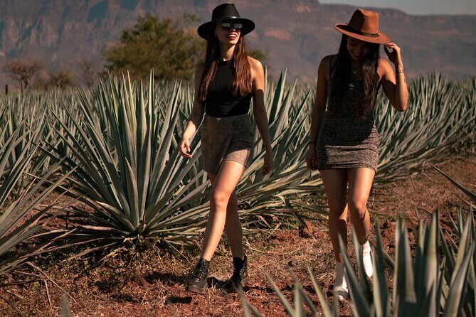 VIP Tequila Night Tour with Dinner and Tasting - What Travelers Are Saying