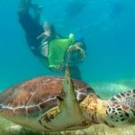 VIP Tulum & Turtles Private Tour - Breaking Down the Itinerary: What to Expect