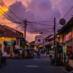 Virgin White Tea Factory and Galle Fort from Colombo - Who Will Love This Tour?