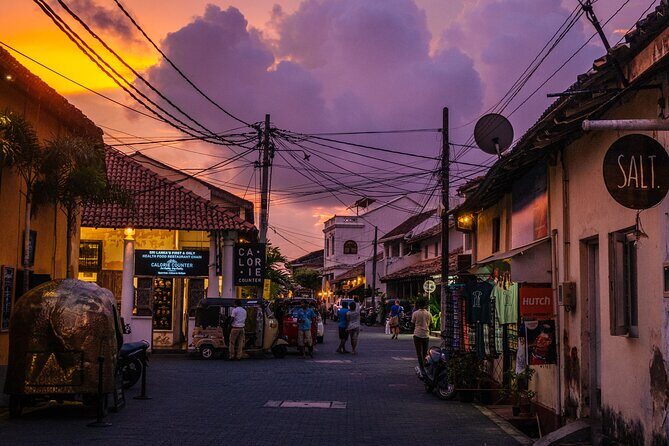 Virgin White Tea Factory and Galle Fort from Colombo - Who Will Love This Tour?