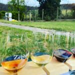 Virginia Wineries Tour - What’s Included and What’s Not?