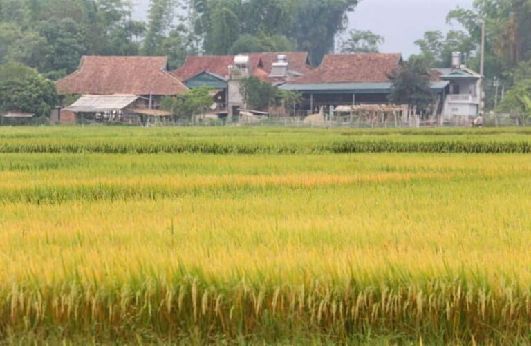 Visit all place in Dien Bien Phu 1 day - Private tour by car - Detailed Breakdown of the Itinerary