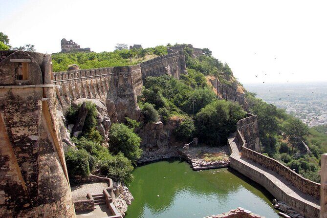 Visit Chittorgarh Fort with Pushkar Drop from Udaipur with Guide - Transportation and Overall Experience
