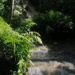 Visit Dantewada(Angel Land), Blue Temple, and Sticky Waterfall - Practical Aspects and What You’ll Love