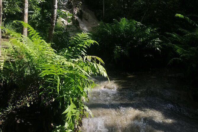 Visit Dantewada(Angel Land), Blue Temple, and Sticky Waterfall - Practical Aspects and What You’ll Love
