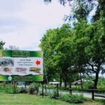 Visit Ella and Udawalawe Safari - 2 Days, All Inclusive - The Practicalities and Value