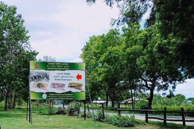 Visit Ella and Udawalawe Safari - 2 Days, All Inclusive - The Practicalities and Value