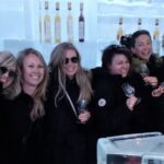 Visit Niagara Falls and experience a VIP Wine Tour - Who Will Love This Tour?