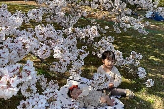 Visit Nokonoshima Island with Natural Attraction Pass - A Complete Look at the Nokonoshima Island Experience