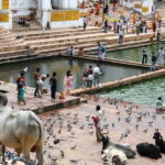 Visit Pushkar with Jaipur Drop from Bikaner Included Local Guide - Pushkar Lake and Its Temples