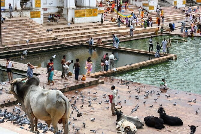 Visit Pushkar with Jaipur Drop from Bikaner Included Local Guide - Pushkar Lake and Its Temples