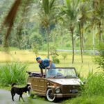 Visit Rice terrace, Beratan temple, waterfall by Vantage Volkswagen 181 - Practical Details and What’s Included