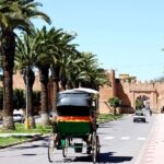 Visit Taroudant and Tiout 1 day From Agadir - What Makes This Tour Stand Out?