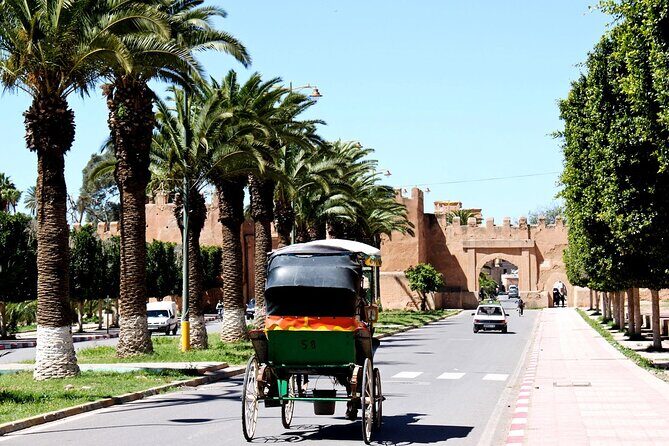 Visit Taroudant and Tiout 1 day From Agadir - What Makes This Tour Stand Out?