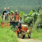 Visit to an Organic Farm in Cumbum Valley - Tamil Nadu - Final Thoughts