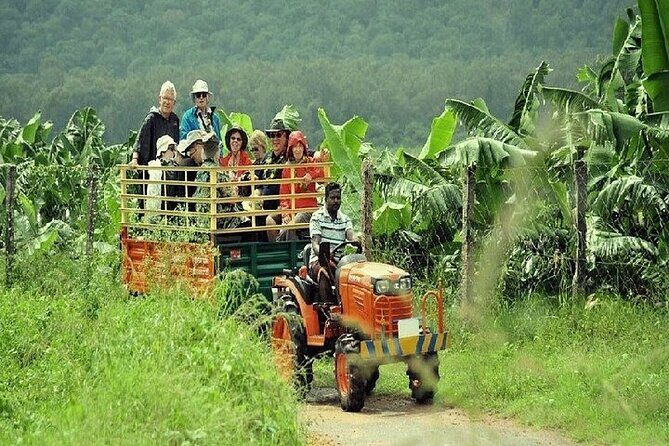 Visit to an Organic Farm in Cumbum Valley - Tamil Nadu - Final Thoughts