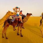 Visit to National Camel Research Center - Key Points