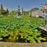Visit to Sahelion Ki Bari, Garden of the Maidens, Udaipur - Practical Details: What to Expect and How to Prepare