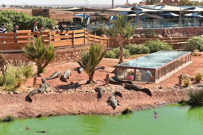 Visite the Crocodiles Park and Botanic garden - Who Should Consider This Tour?
