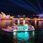 Vivid Sydney Lights and Fireworks Sightseeing Cruise - Who Will Love This Tour?