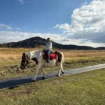 Volcanic Wonders: Private and helicopter Tour to Mount Aso - Why This Tour Stands Out