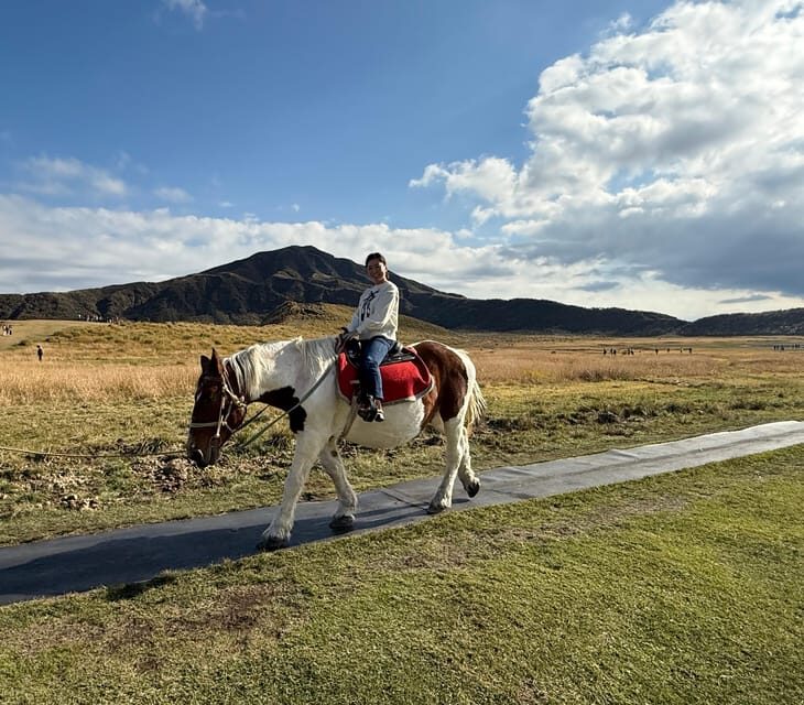 Volcanic Wonders: Private and helicopter Tour to Mount Aso - Why This Tour Stands Out