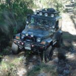 Volcano Tour to Iztaccihuatl - What Travelers Are Saying