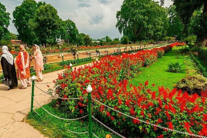 Wahga Border Flag Ceremony & Shalimar Garden Private Tour - Who Should Consider This Tour?