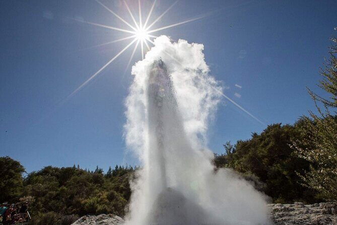Wai-O-Tapu to Redwoods and Secret Spot Private Tour from Auckland - The Value of This Tour