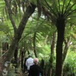 Waiheke Island: 5-Day Self-Guided Te Ara Hura Walk - A Closer Look at the Price and Value