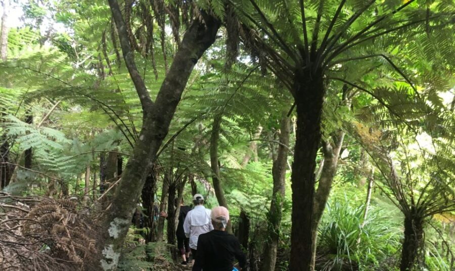 Waiheke Island: 5-Day Self-Guided Te Ara Hura Walk - A Closer Look at the Price and Value