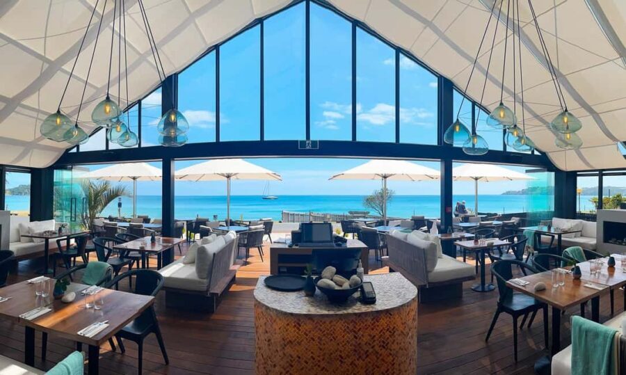 Waiheke Island: Afternoon Wine Tour with Oceanfront Lunch - The Practical Side: What You Need to Know