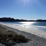 Waiheke Island Bush & Beach Walk - Detailed Itinerary and What to Expect