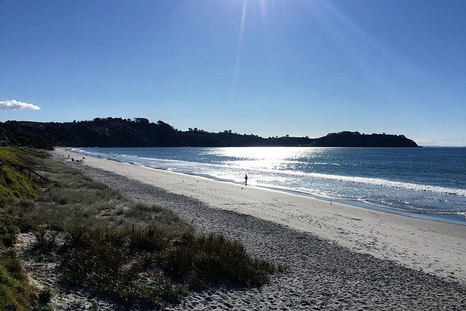 Waiheke Island Bush & Beach Walk - Detailed Itinerary and What to Expect