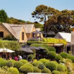 Waiheke Island Day Tour: Ziplining, Wine Tasting & Vineyard Lunch - What to Expect at Each Stop