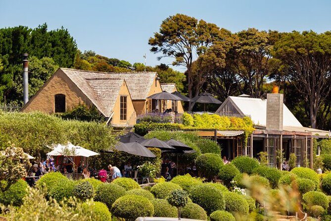 Waiheke Island Day Tour: Ziplining, Wine Tasting & Vineyard Lunch - What to Expect at Each Stop