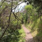Waiheke Island Double Headland Coastal Walk - The Itinerary: What You Can Expect