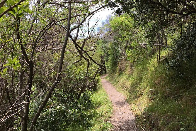 Waiheke Island Double Headland Coastal Walk - The Itinerary: What You Can Expect