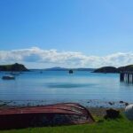 Waiheke Island: Double Headland Premium Guided Coastal Walk - An In-Depth Look at the Waiheke Coastal Walk