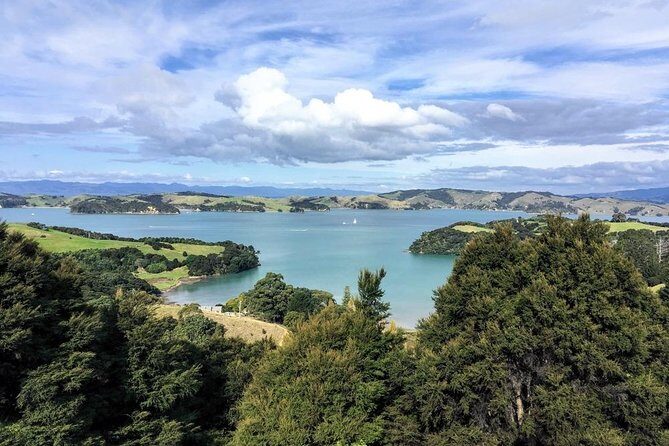Waiheke Island Experience Tour - The Itinerary: A Closer Look
