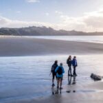 Waiheke Island: Forest and Beach Premium Guided Walk - Beach Break and Leisure Time