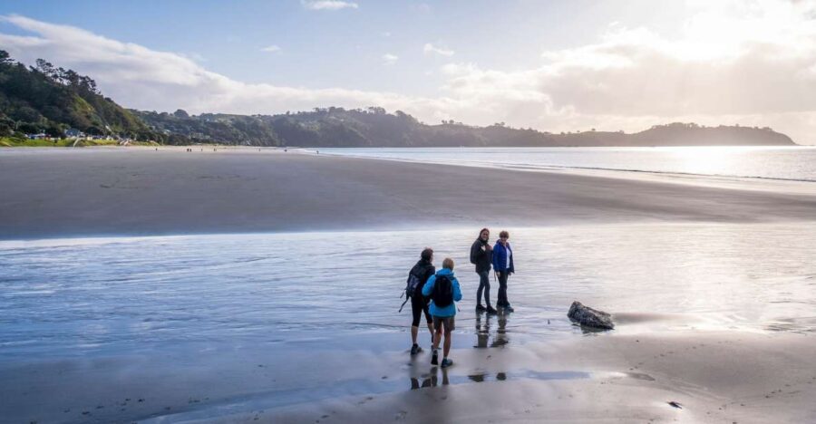 Waiheke Island: Forest and Beach Premium Guided Walk - Beach Break and Leisure Time
