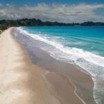 Waiheke Island Gourmet Food and Wine Tour with Platter Lunch - The Itinerary Breakdown: From Vineyard Views to Tantalizing Tastes