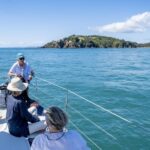 Waiheke Island: Gulf Marine Park Sailing Adventure & Lunch - Swimming, Snorkeling, and Paddleboarding