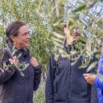 Waiheke Island: Premium Vineyard, Wine Tasting and Bush Walk - Exploring Waiheke Island: Nature, Wineries, and Scenic Vistas
