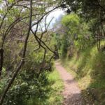 Waiheke Island: Private Art Tour with Lunch - Discovering Waiheke Island Through Art