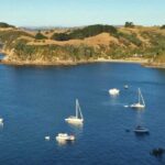 Waiheke Island: Private Guided Te Ara Hura 5-Day Walk - The Itinerary and Daily Highlights