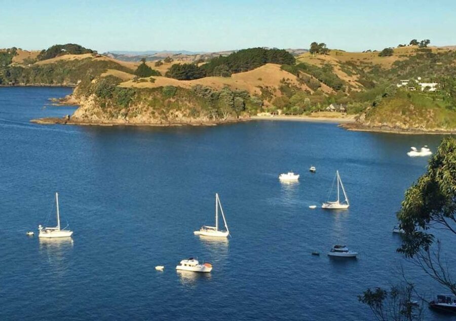 Waiheke Island: Private Guided Te Ara Hura 5-Day Walk - The Itinerary and Daily Highlights