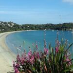 Waiheke Island Private Tours - Authentic Feedback and Expectations